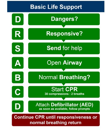 DRSABCD What does is represent ?- First Aid Oz explains here